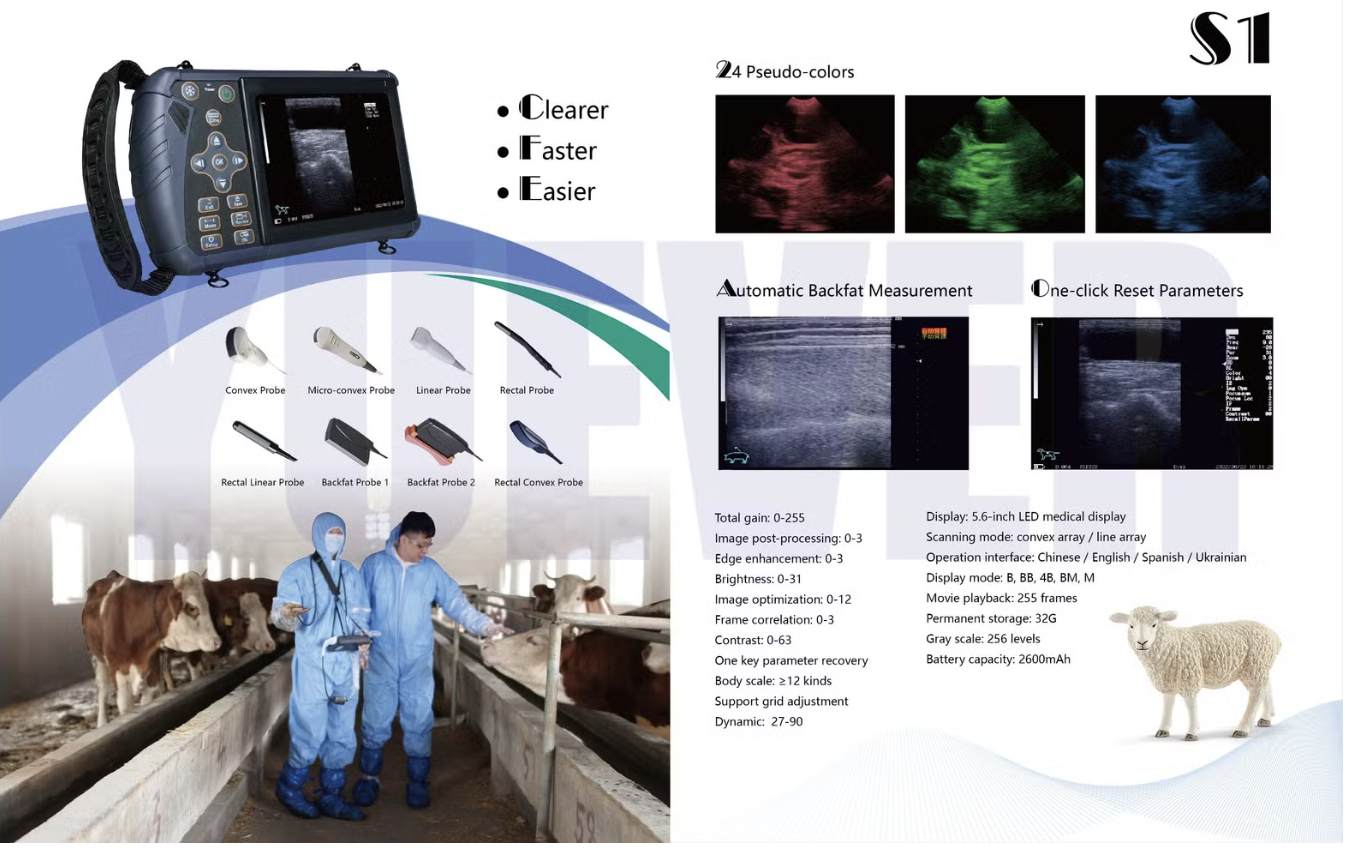 Animal Portable Full Digital Veterinary Diagnostic Equine Ultrasound ...